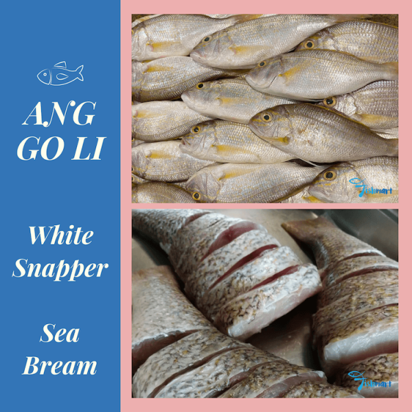 Ang Go Li, White Snapper 红哥里鱼 – FishMart
